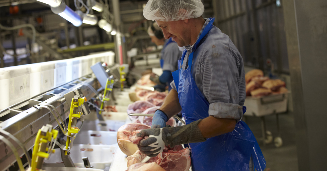 Slakteri – Fakta och information | Branschinfo Kött